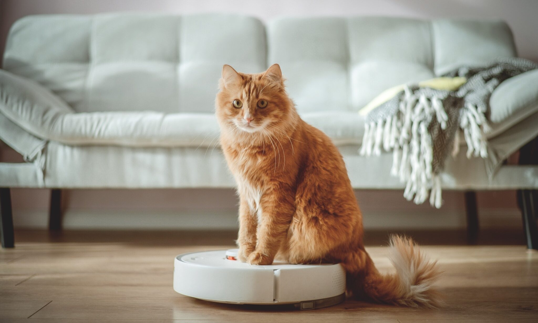 5 beste robotstofzuigers van dit moment - StopAllergie.nl